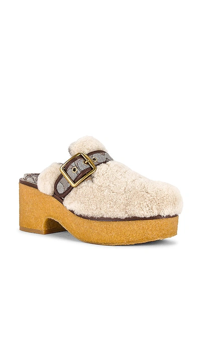 Coach Dylan Clog In Natural Oak | ModeSens