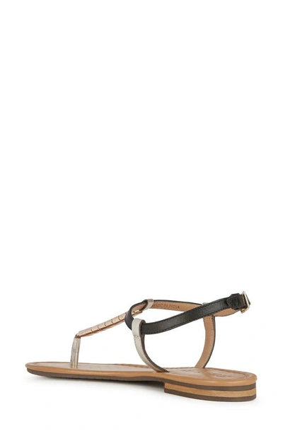 Geox Sozy Sandal In Black/ Gold | ModeSens