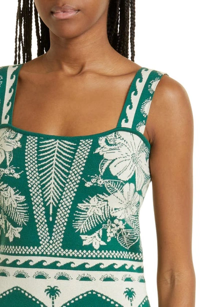 Farm Rio Macaw Sleeveless Knit Dress In Macaw Elegance Of | ModeSens