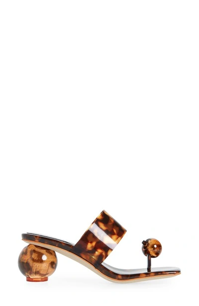Jeffrey Campbell Latus Sandal In Tortoise | ModeSens