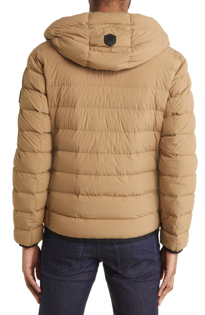 Mackage Jack Agile-360 Stretch Light Down Hooded Jacket In Camel | ModeSens