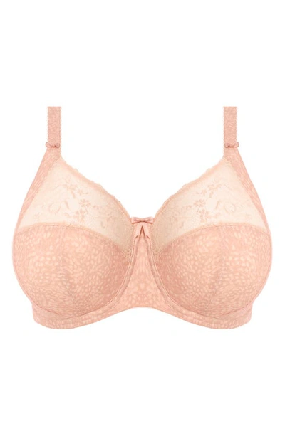 Elomi Lydia Full Figure Underwire Convertible Bra In Cameo Rose | ModeSens