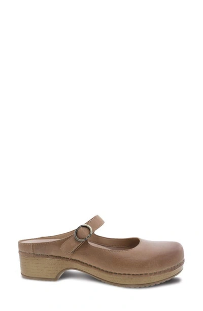 Dansko Bria Mary Jane Clog In Brown | ModeSens