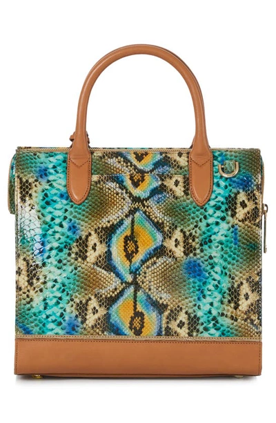 Brahmin Caroline Snake Embossed Leather Satchel In Beige/ Mineral Blue ...