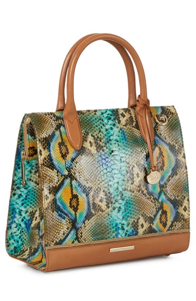Brahmin Caroline Snake Embossed Leather Satchel In Beige/ Mineral Blue ...