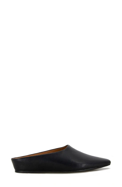 Andre Assous Norma Featherweight Mule In Black | ModeSens