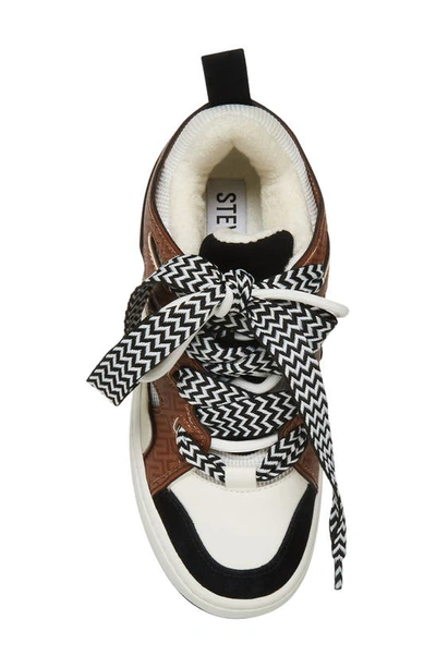 Steve Madden Roaring Sneaker In Brown Multi | ModeSens