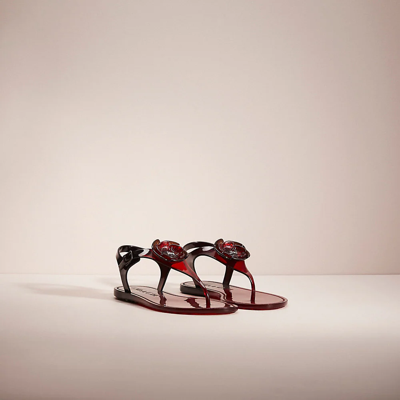Coach Restored Tea Rose Jelly Sandal In Black/oxblood | ModeSens