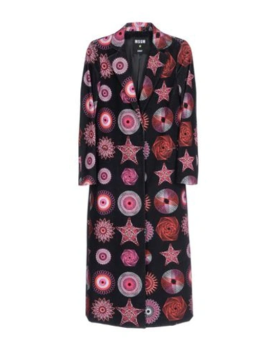 Msgm Coat In Black | ModeSens