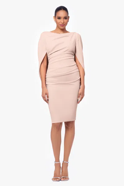Betsy & Adam "jordan" Short Scuba Crape Draped Back Dress In Pink ...