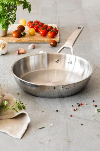 Bra Cookware Signature Stainless Steel Professional Frypan, 10.2-inch ...