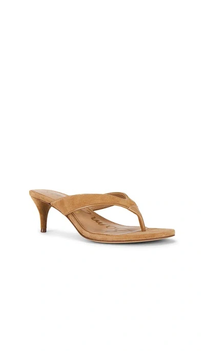 Sam Edelman Amie Heeled Thong Sandals Cyprus Tan In Brown | ModeSens