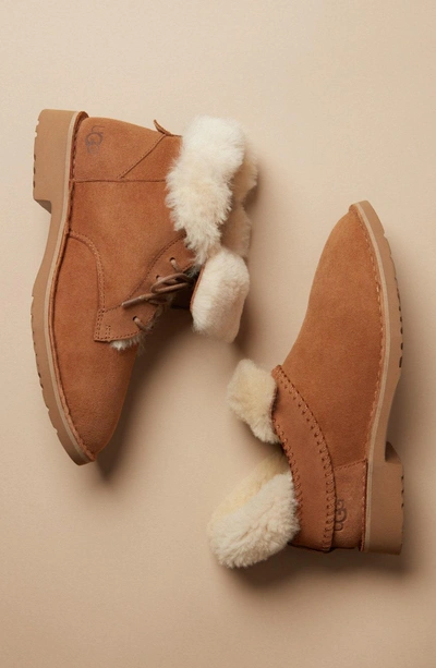 Ugg Mckay Water Resistant Bootie In Chocolate Suede | ModeSens