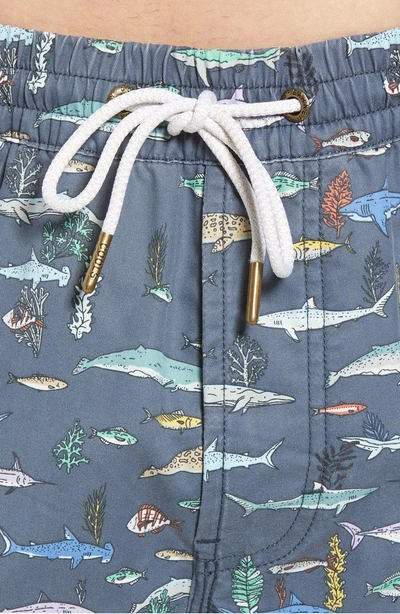 Barney Cools Amphibious Swim Trunks In Sea Life Blue | ModeSens