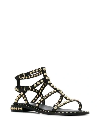 Ash Women's Precious Studded Leather Gladiator Sandals In Black | ModeSens