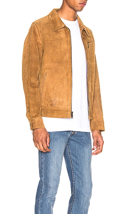 Schott Duke Unlined Rough Suede Jacket In Brown | ModeSens