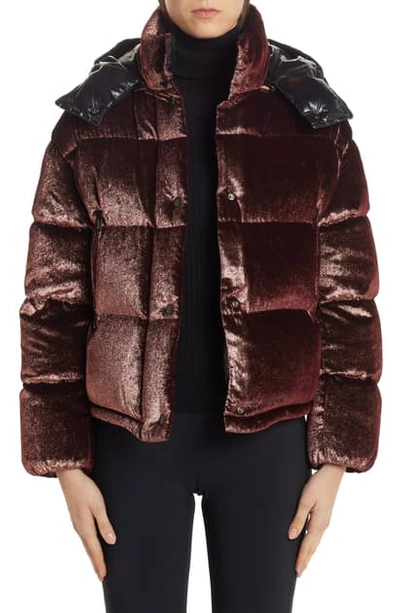 Caille moncler store