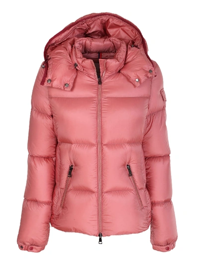 Moncler Jacket In Rosa | ModeSens