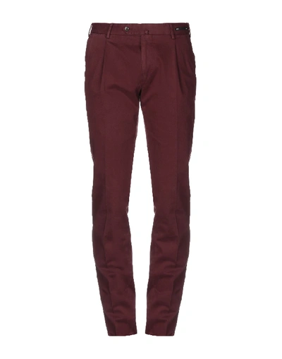Pt01 Casual Pants In Maroon | ModeSens
