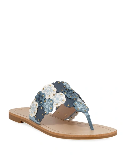 Coach Lottie Link Tea Rose Flat Thong Sandals In Blue | ModeSens