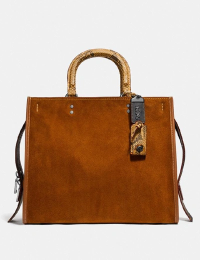 Coach Rogue 36 In Colorblock With Snakeskin Detail In 1941 Saddle ...
