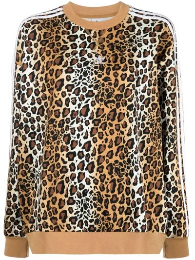 Adidas Originals Adidas Crew Leopard Print Sweatshirt In Brown/black ...