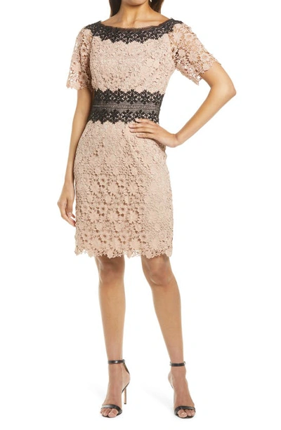 Shani Colorblocked Lace Cocktail Dress In Champagne | ModeSens