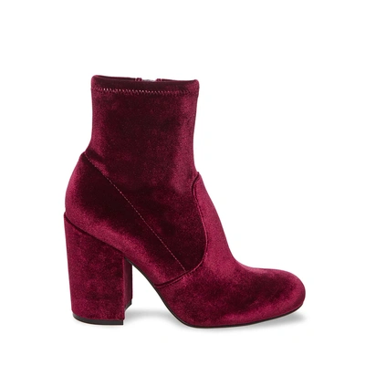 Steve Madden Gaze In Burgundy Velvet | ModeSens