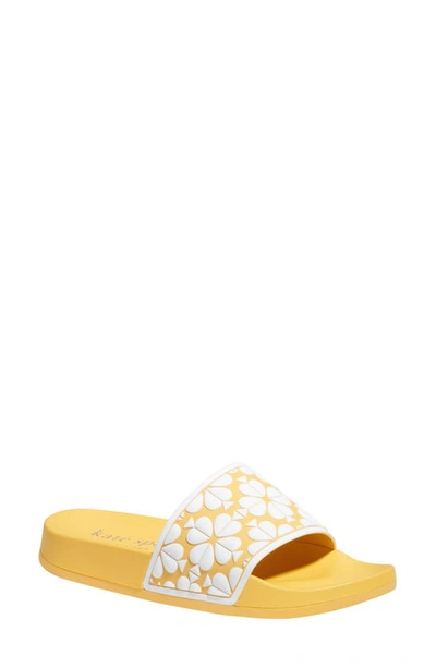 Kate Spade Women's Olympia Logo Pool Slides In Morning Lt / Opt White ...