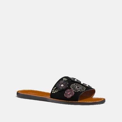 Coach Tea Rose Rivet Suede Slides In Black | ModeSens