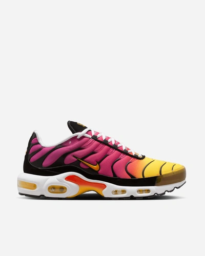 Nike Air Max Plus Og In Multi | ModeSens