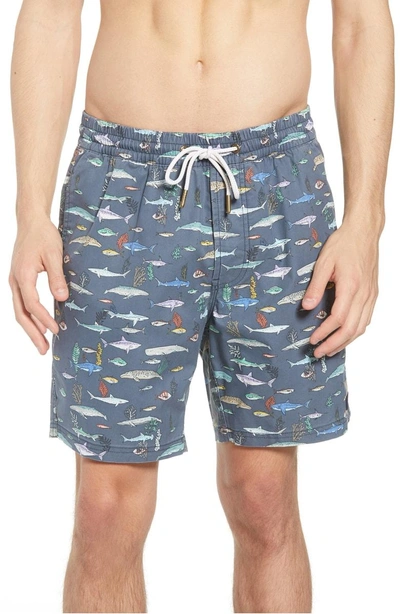 Barney Cools Amphibious Swim Trunks In Sea Life Blue | ModeSens