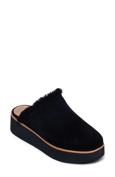 Bernardo Phoebe Genuine Shearling Platform Clog In Black | ModeSens