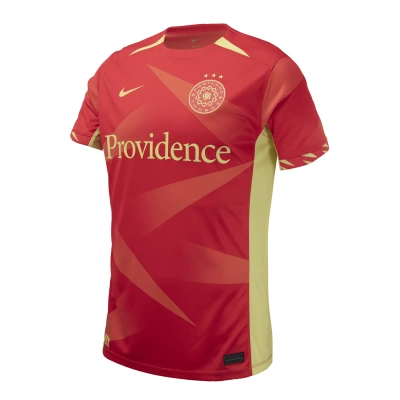 Nike Portland Thorns Fc 2024 Stadium Primary Men's Dri-fit Nwsl Replica ...